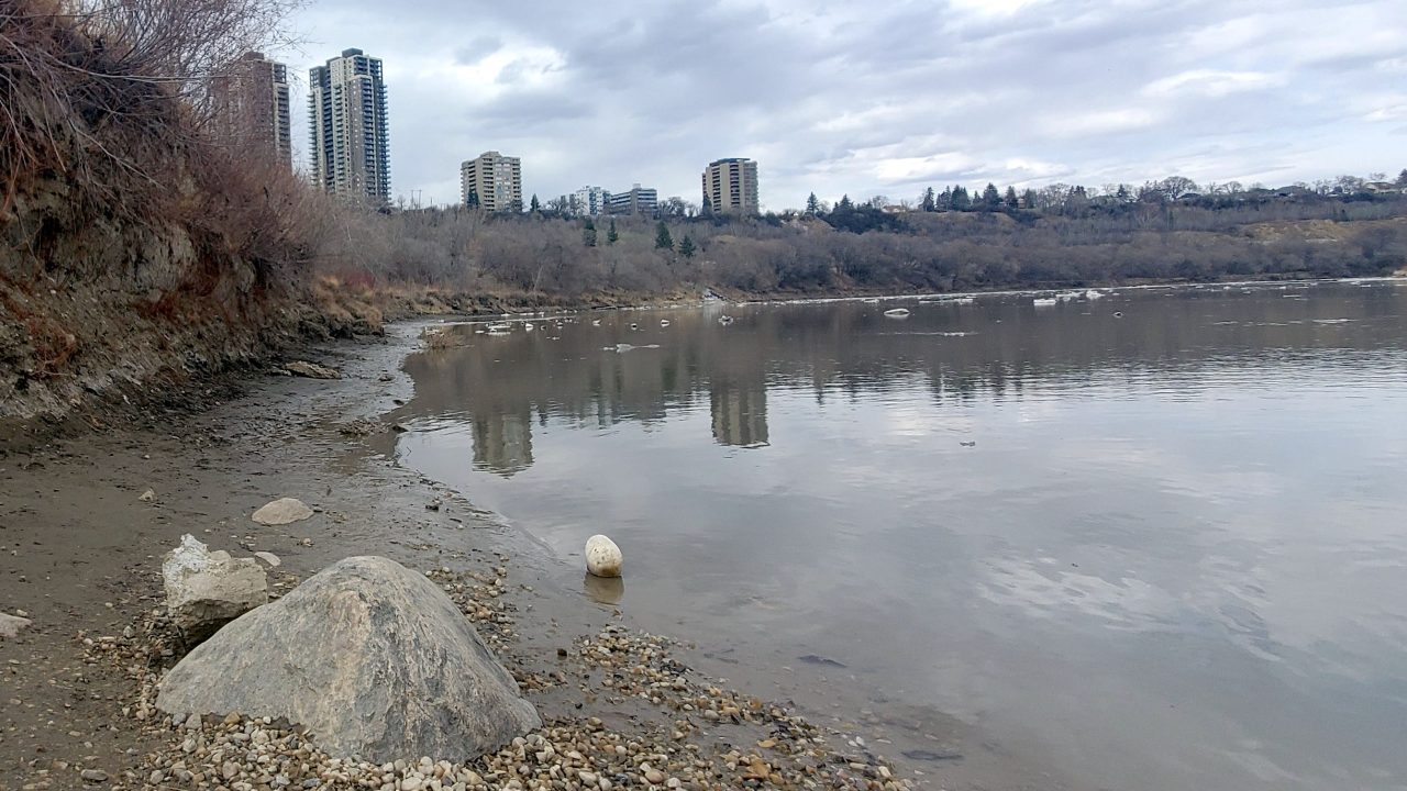 Alberta is Dry, but Edmonton’s in a “Sweet Spot” When it Comes to ...